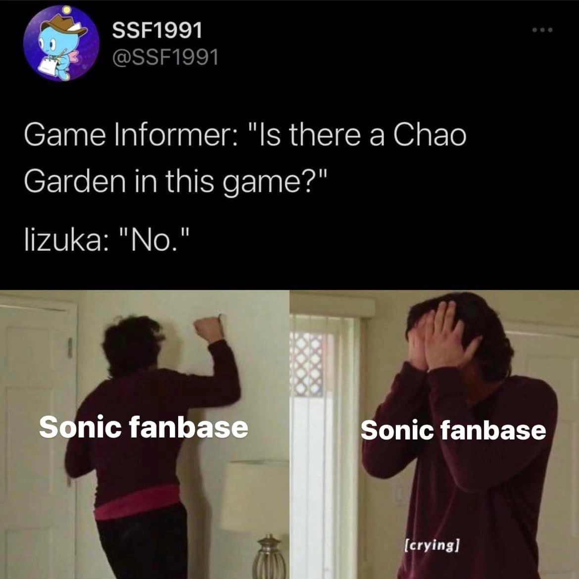 Chao meme | Fandom