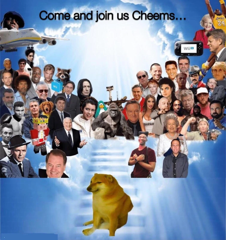 Tribute to Cheems (I did not make the image) | Fandom