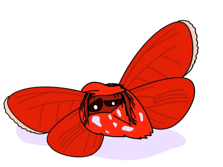 Discuss Everything About Flutter: Starlight Wikia | Fandom