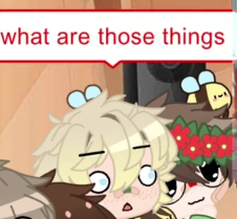 watching dsmp gacha life | Fandom