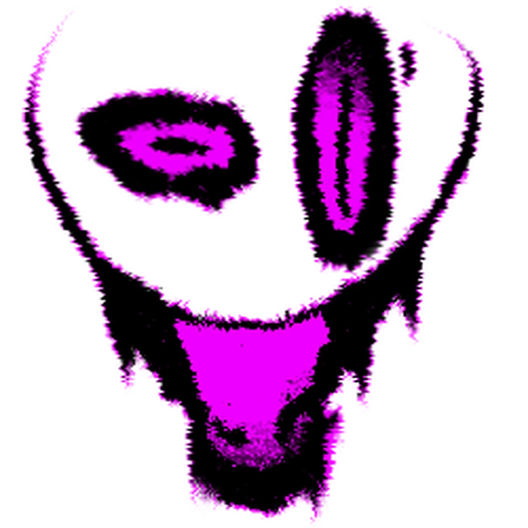 how to get rld wikians working 2024 | Fandom