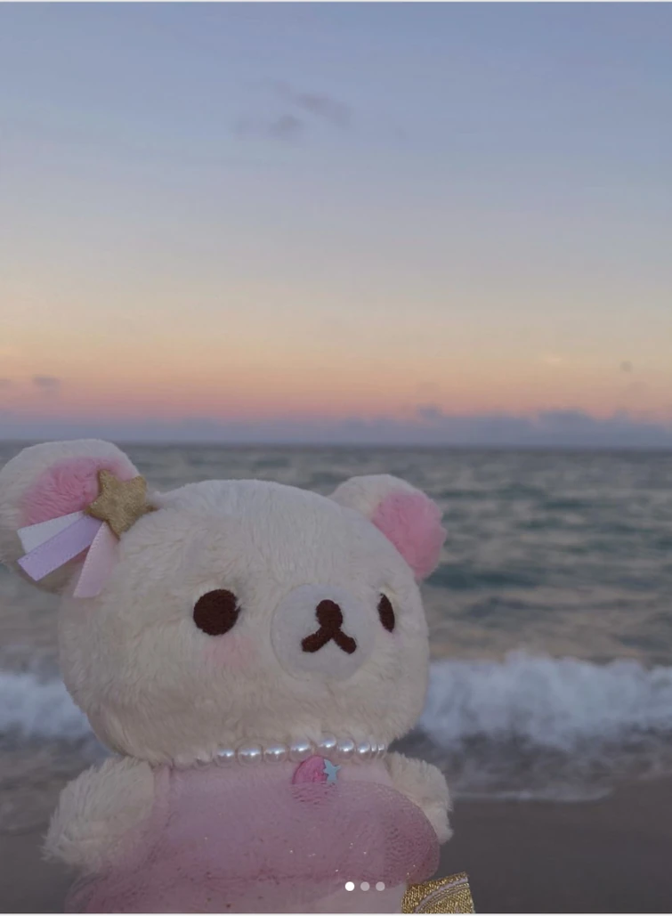 Discuss Everything About Rilakkuma Wiki | Fandom