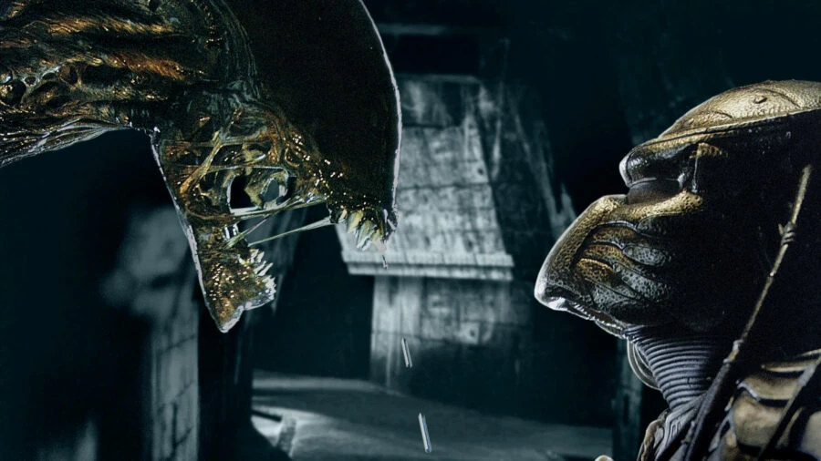 Alien vs Predator FanFiction idea | Fandom
