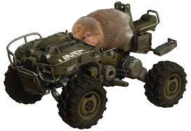 mongoose on a mongoose | Fandom