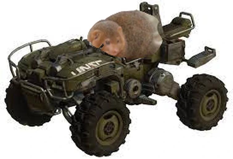 mongoose on a mongoose | Fandom