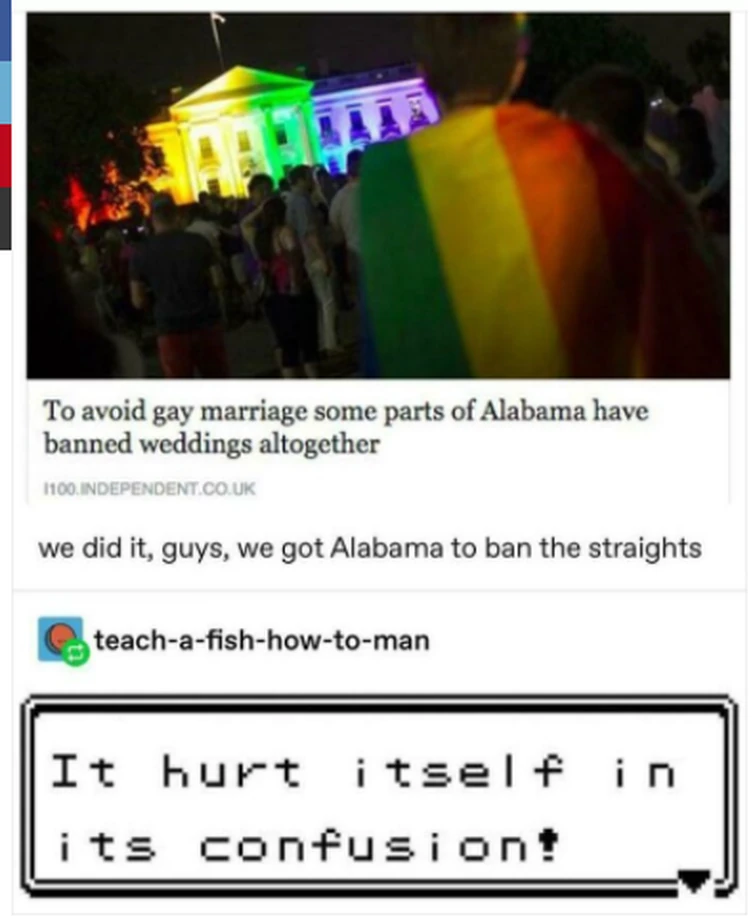 Pride Month meme #12 | Fandom