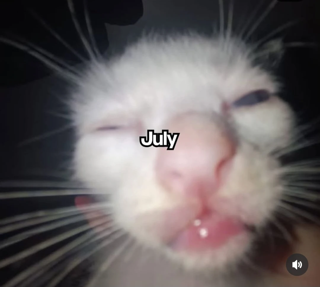 Ur month ur cat | Fandom