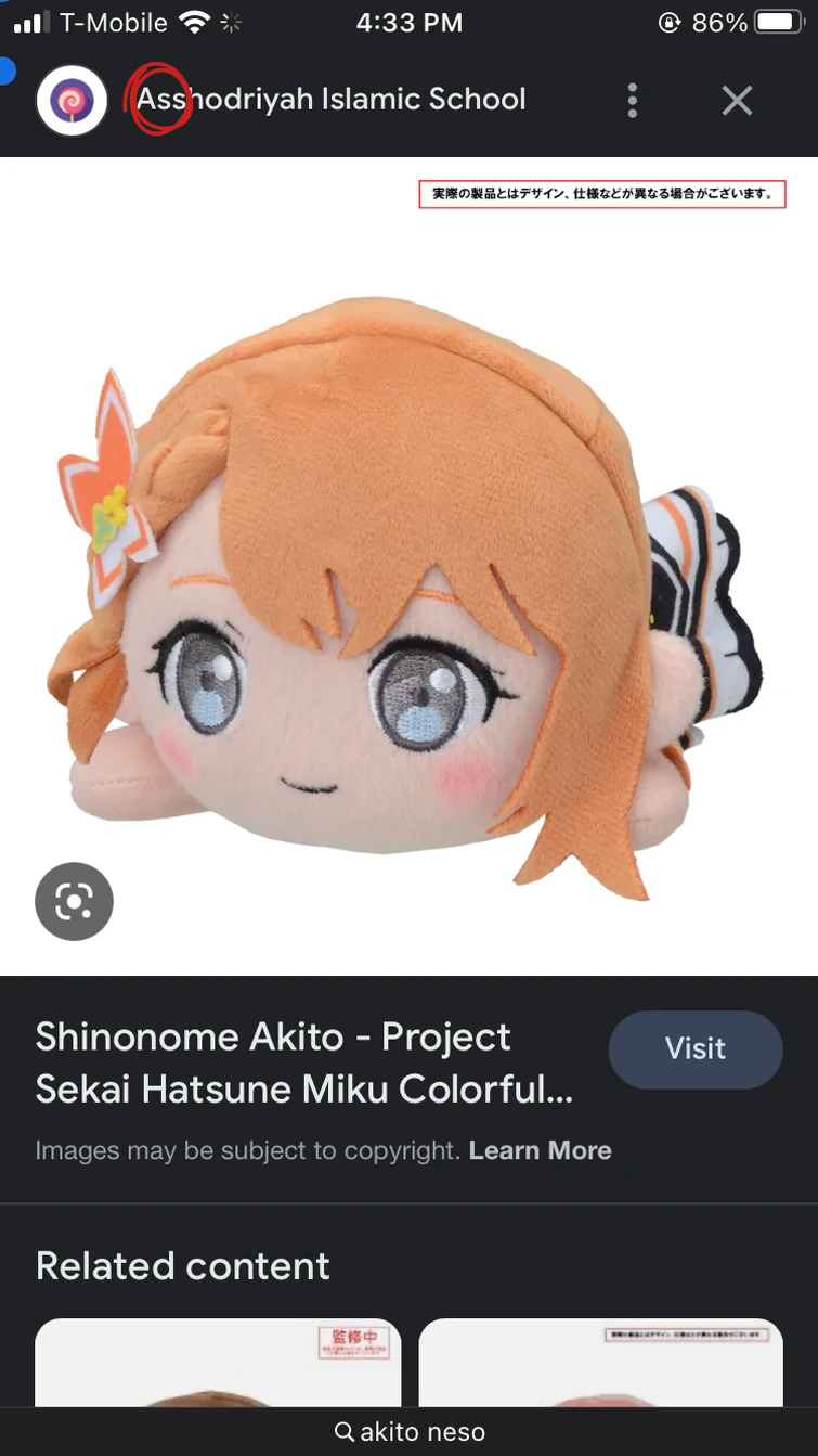 “Akito Shinome” Neso | Fandom