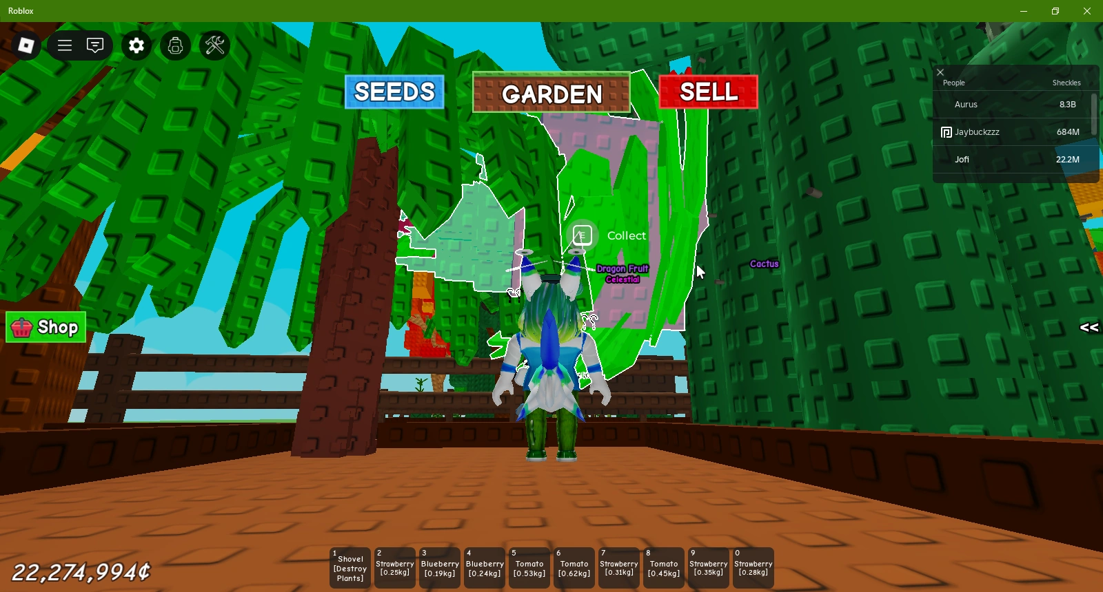 Everything is forgiven, too short dragonfruit tree