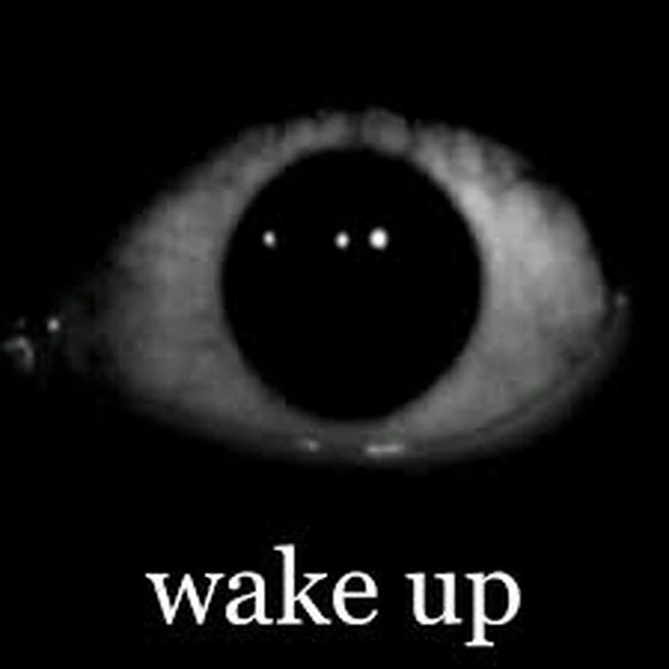 Wake up | Fandom