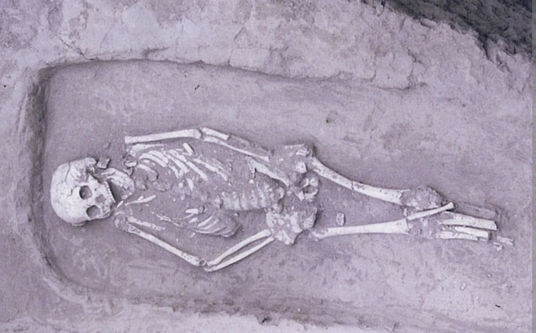 Smash or pass | Fandom