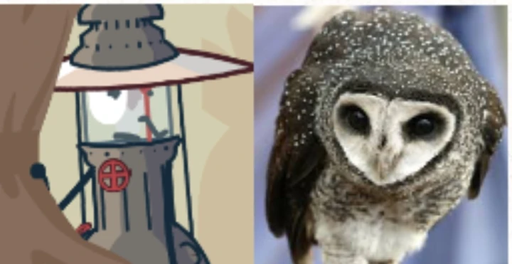 Assigning OCs owl species... part 1 | Fandom
