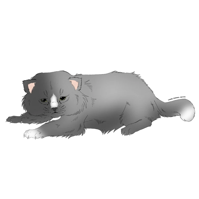 Line à adopter | Fandom