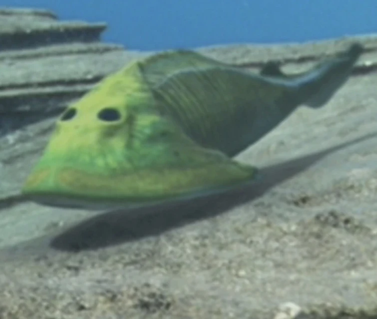 cephalaspis lyelli | Fandom
