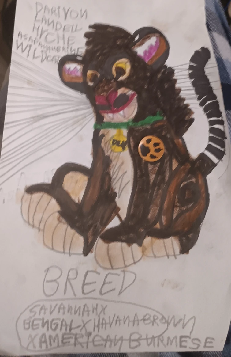 Discuss Everything About NatureRules1 Wiki | Fandom