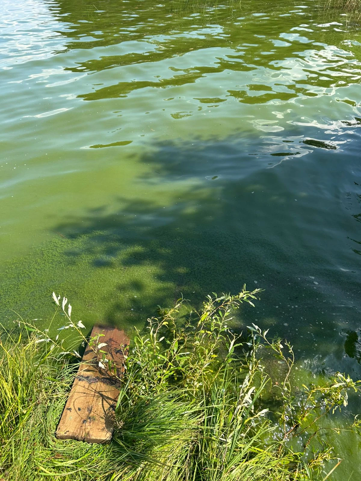 Why the hell this lake is coloured like water in turitopulis | Fandom