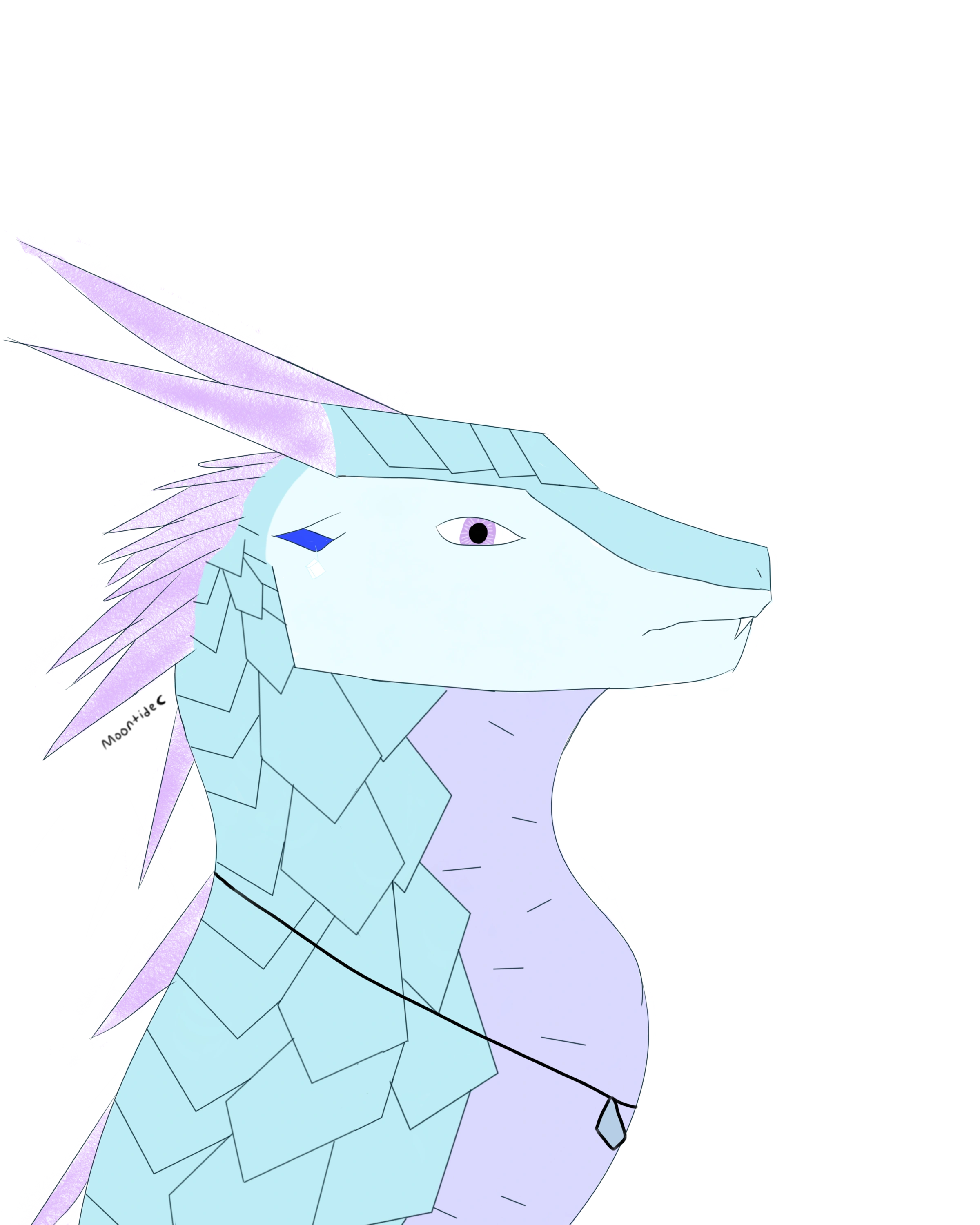 IceWing art request! | Fandom