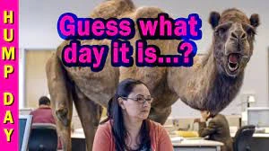 Guess what day it is... | Fandom