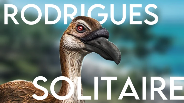 Rap battles of pre-history: Episode 1 - Dodo Bird vs Rodrigues ...