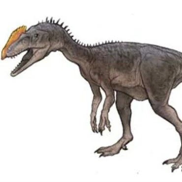 Discuss Everything About Dinopedia | Fandom