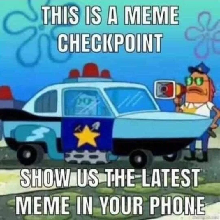 Meme Checkpoint Time! :D | Fandom