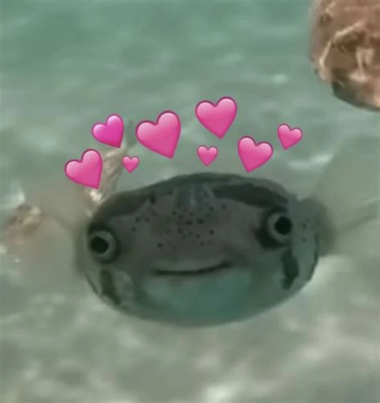 give me pfps | Fandom