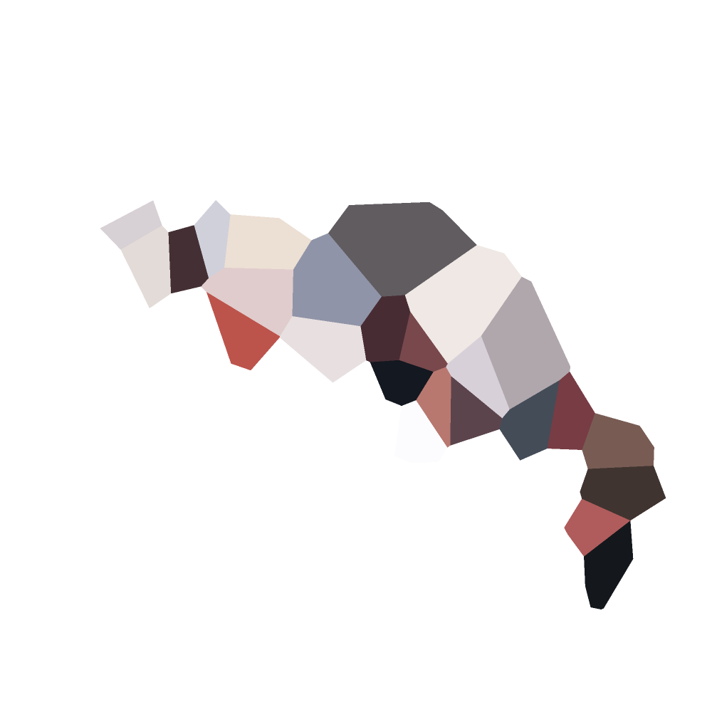 Guess the creature from the abstract blob | Fandom