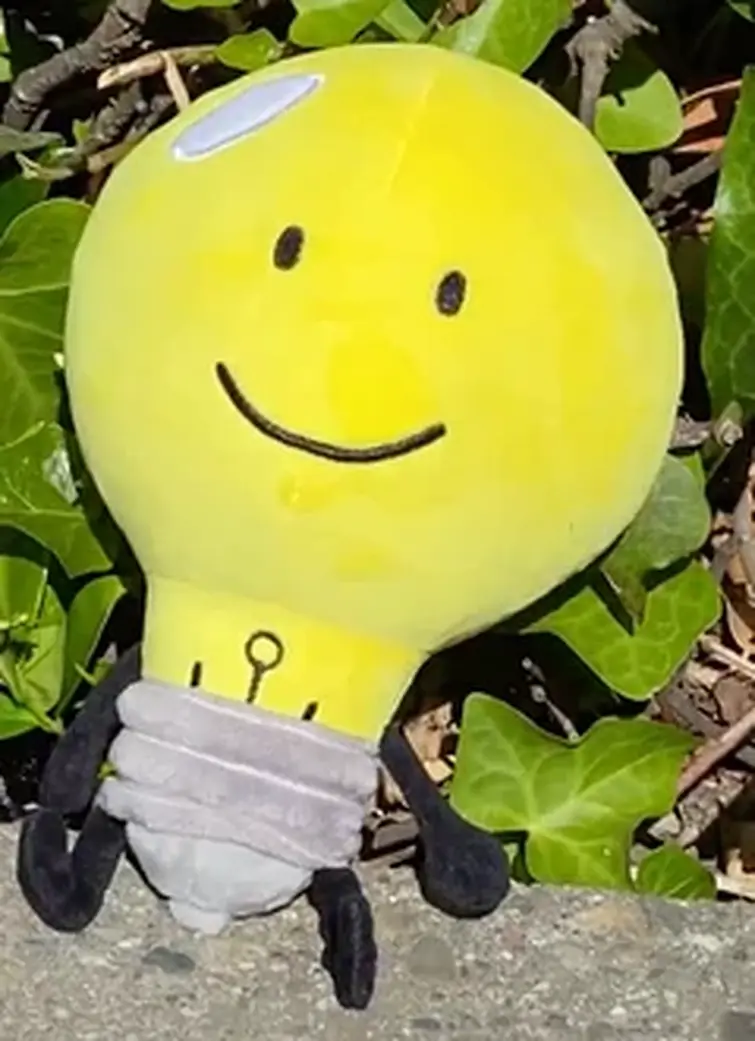 My favourite BFDI and II characters are getting plushies! | Fandom