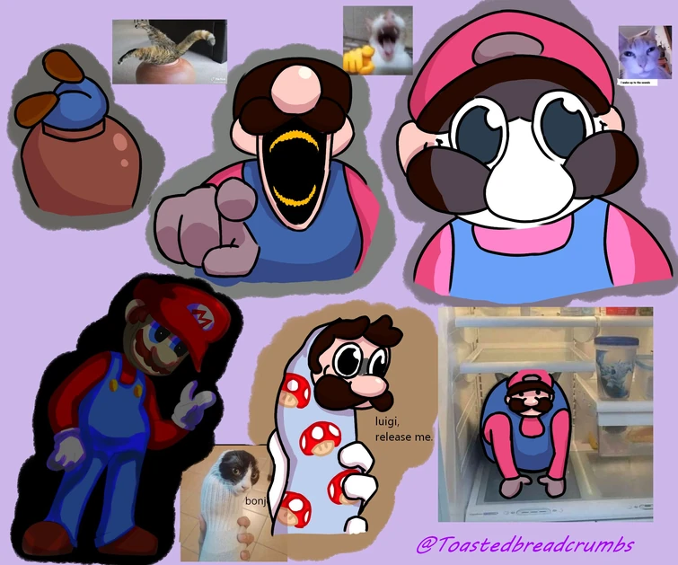 I need more Turmoil memes | Fandom