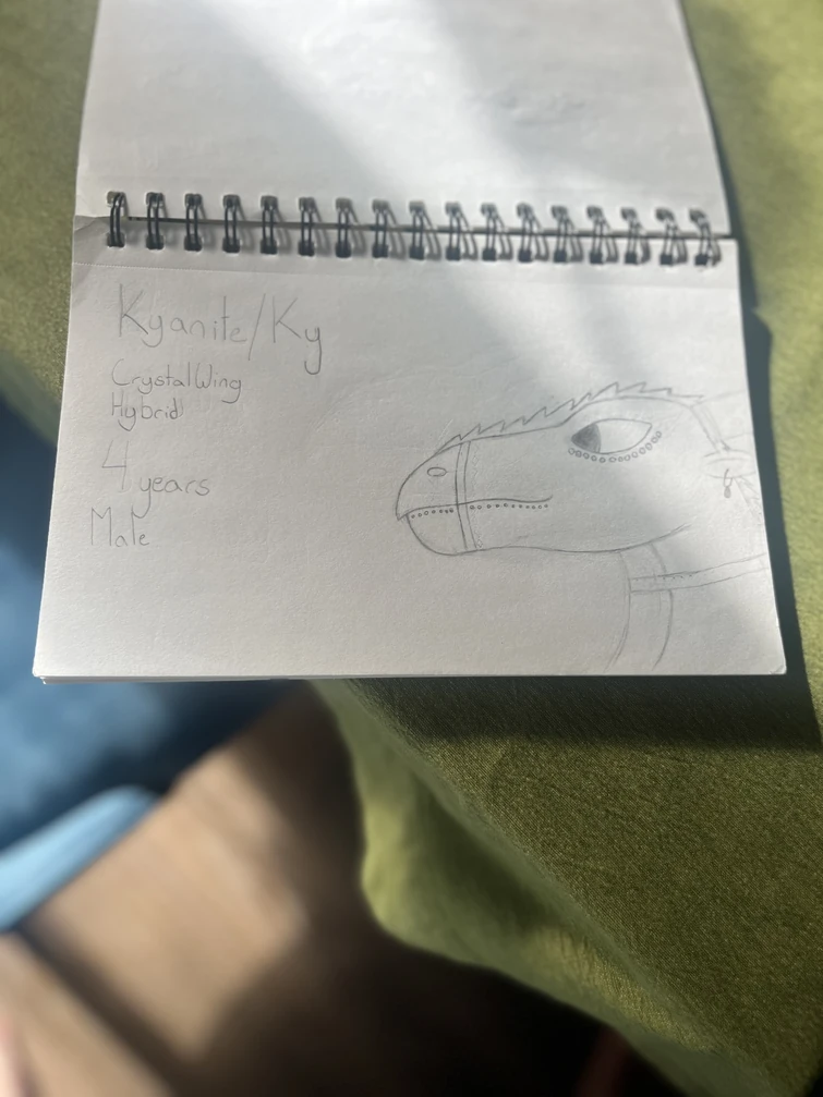 wof drawings | Fandom