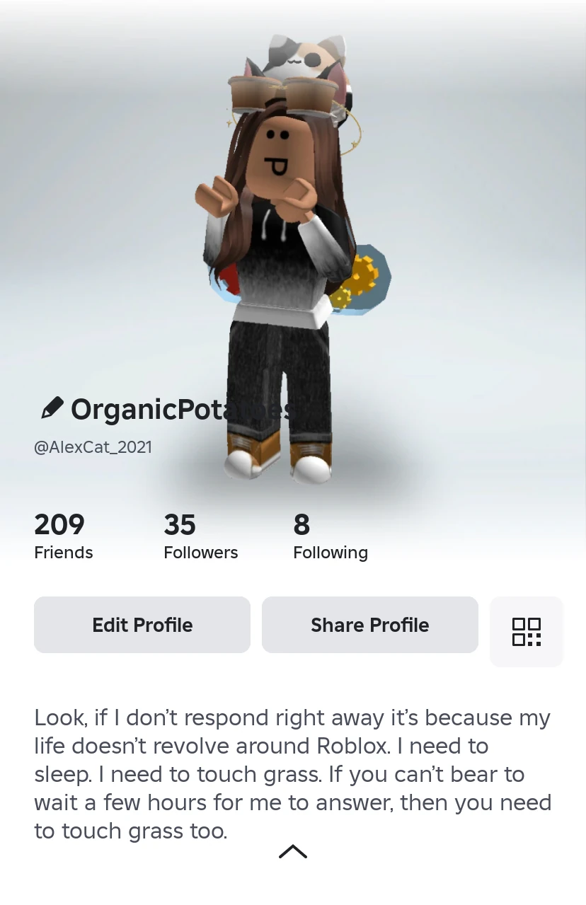 New Roblox Profile Description | Fandom
