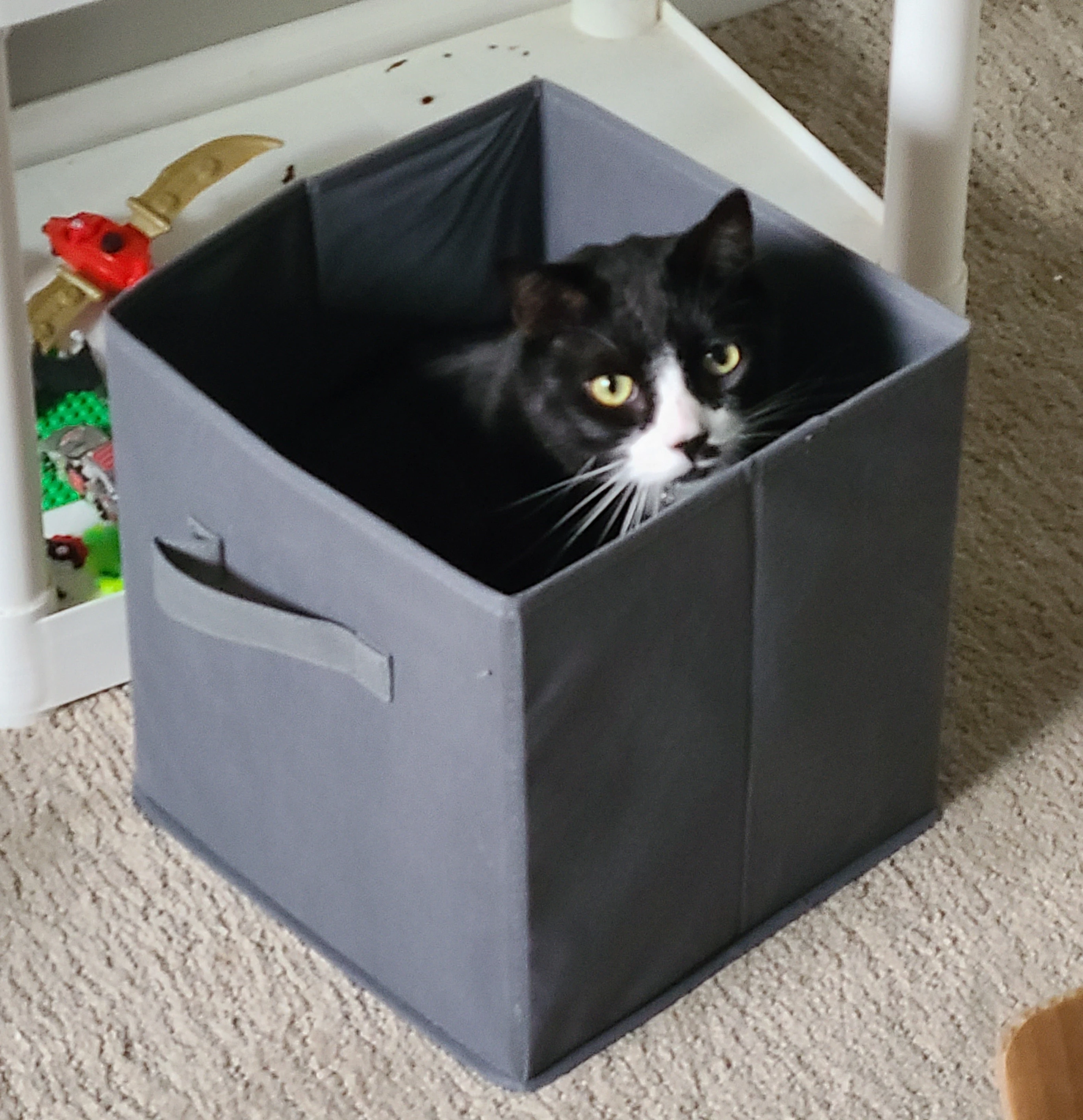 Lilo being Lilo | Fandom