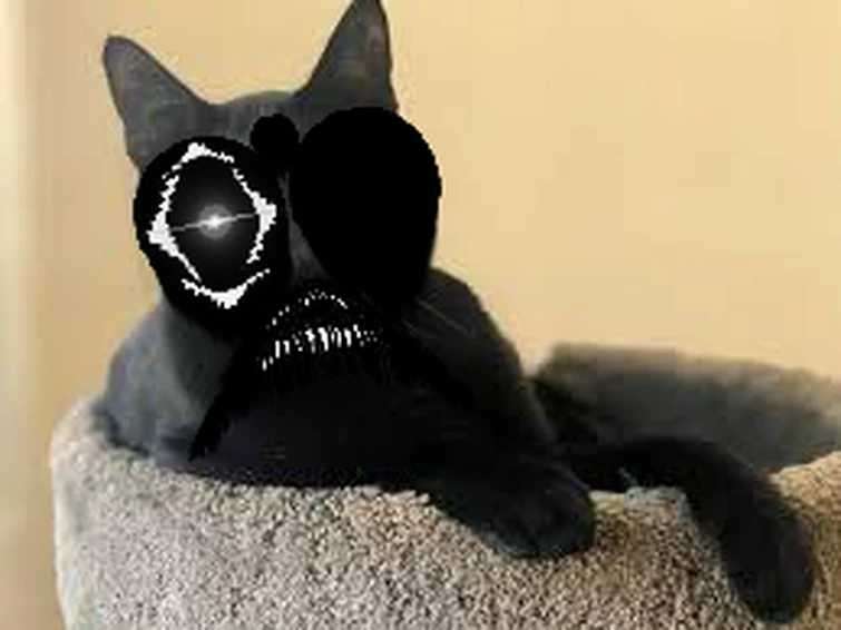 stupid shit thats in the RLD wiki | Fandom