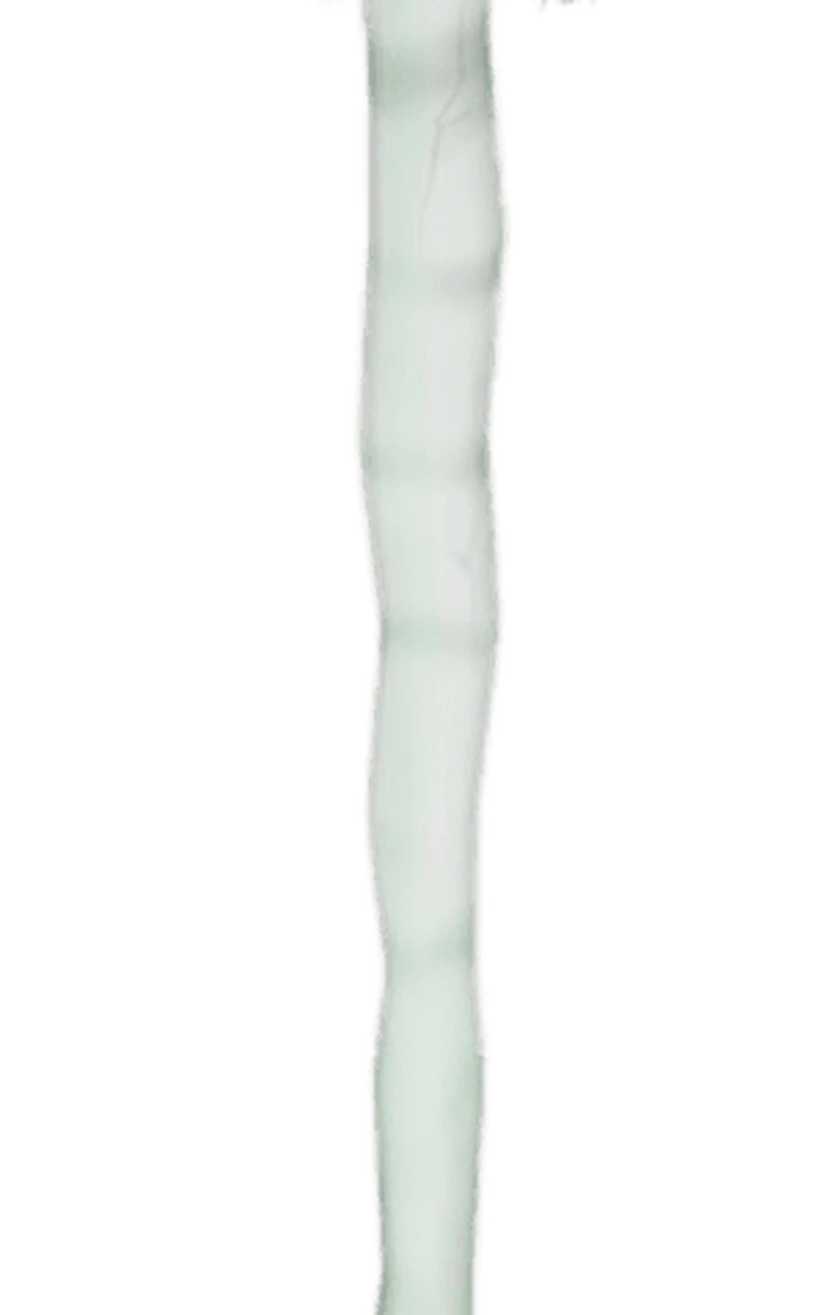 Discuss Everything About The Mimic Wiki | Fandom