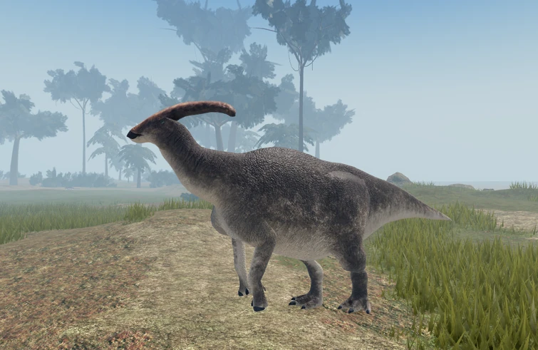 Did you know? | Fandom