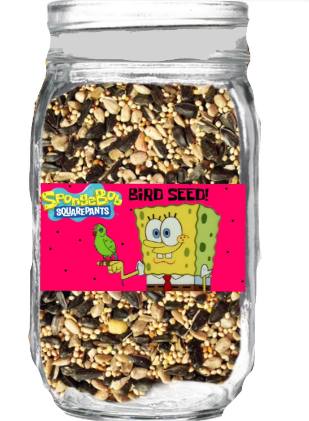 SB Bird Seed! | Fandom