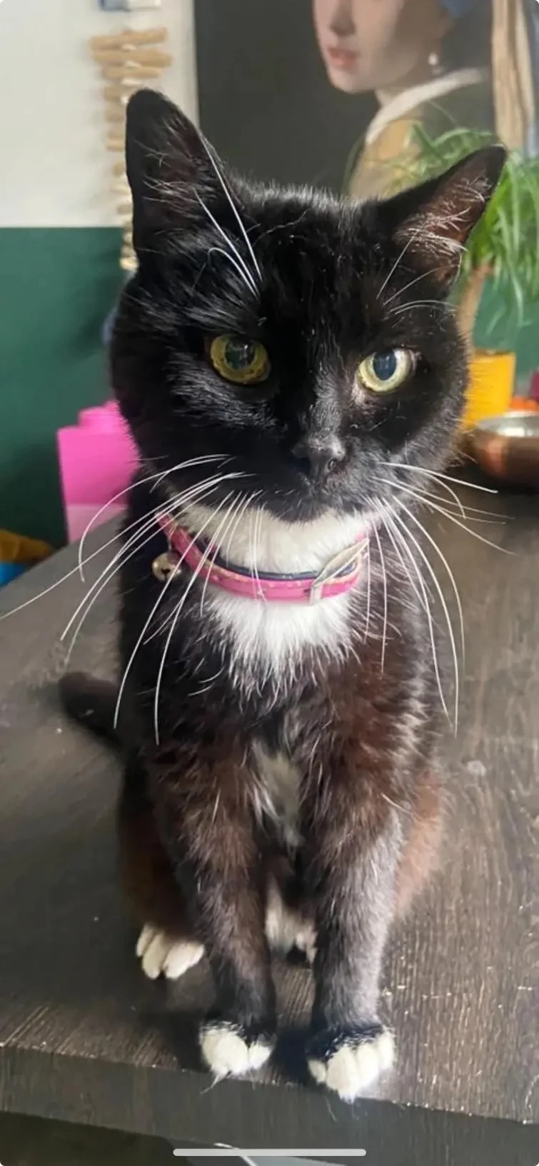 emo oil spill (A-80) | Fandom