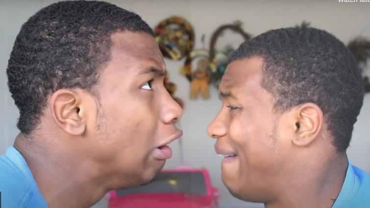 Who are these twin youtubers | Fandom