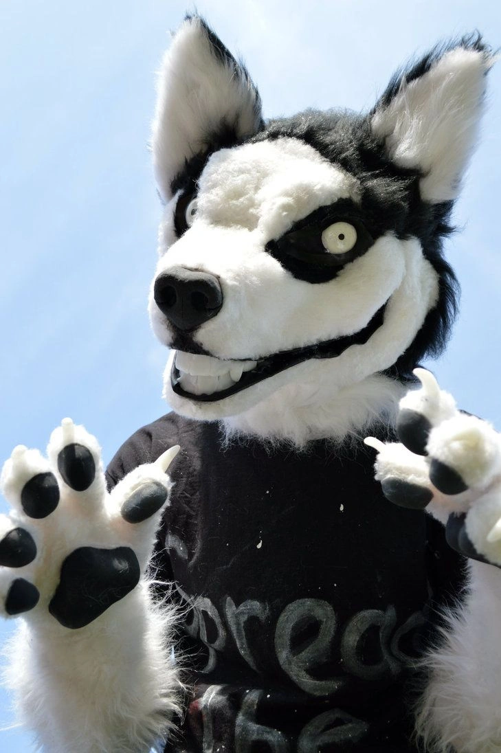 Aquí tienen a Smile Dog furry, de nada. | Fandom