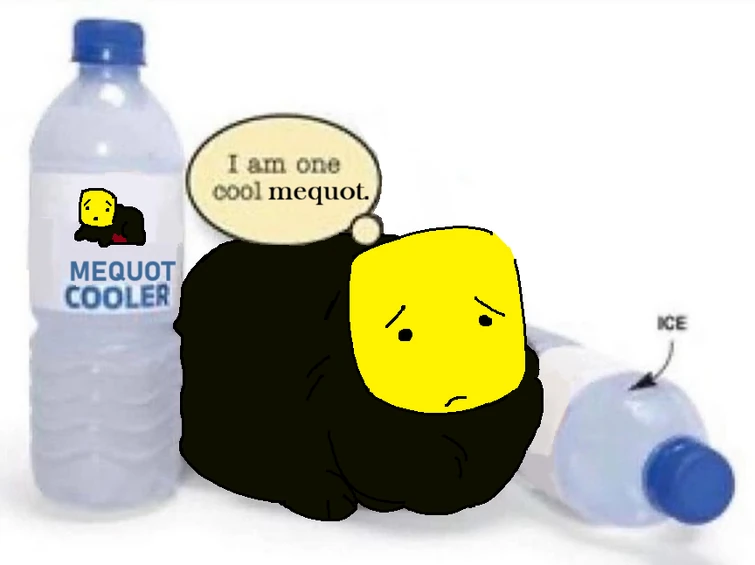 Some mequot questions | Fandom