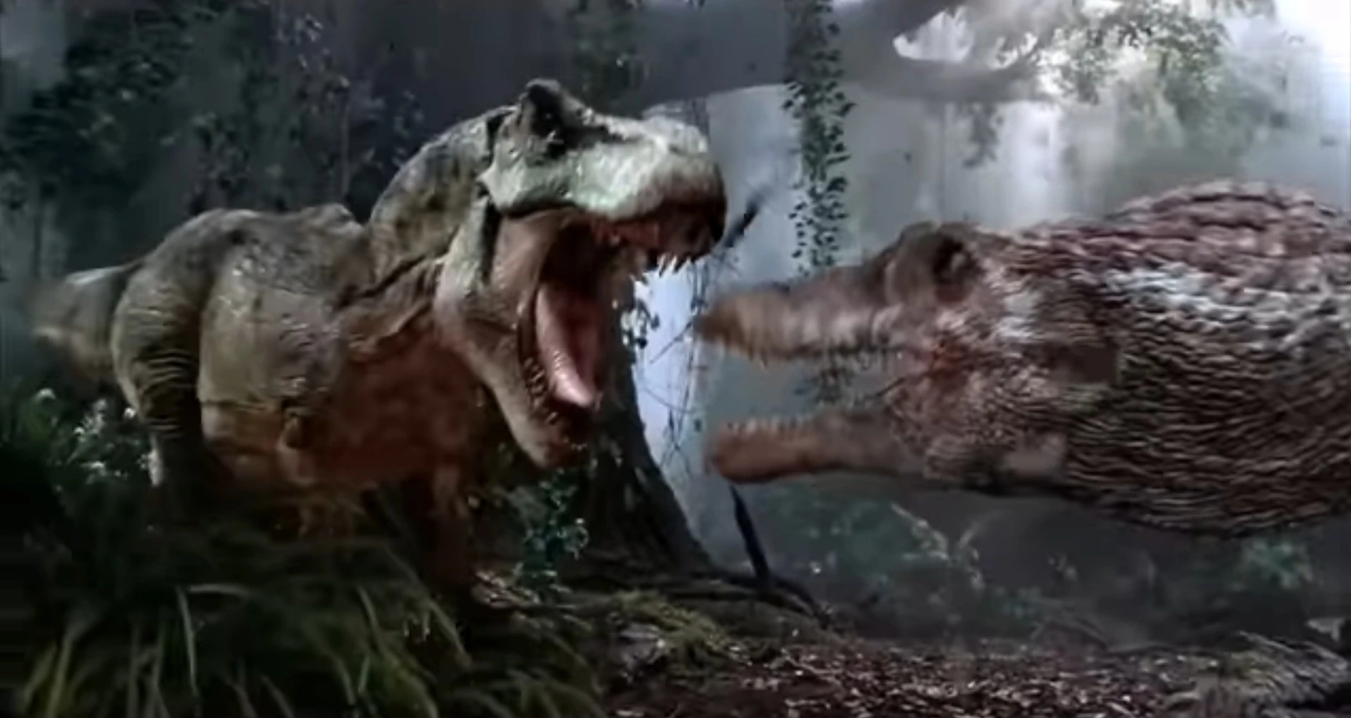 Daily fact 1: | Fandom