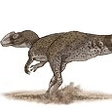 Discuss Everything About Dinopedia | Fandom