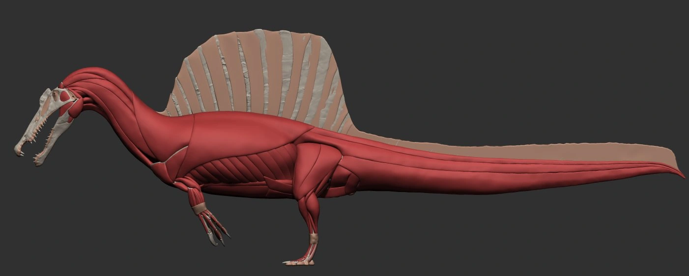 ruh roh raggy | Fandom