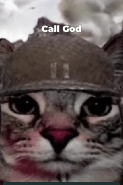 OH GOSH DAMN IT I LEFT FOR A MINUE AND THE GUESS MY GENDER TREND IS ...