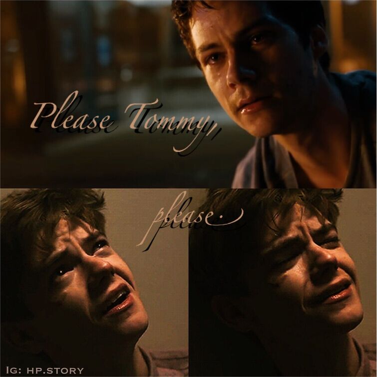 Discuss Everything About The Maze Runner Wiki | Fandom