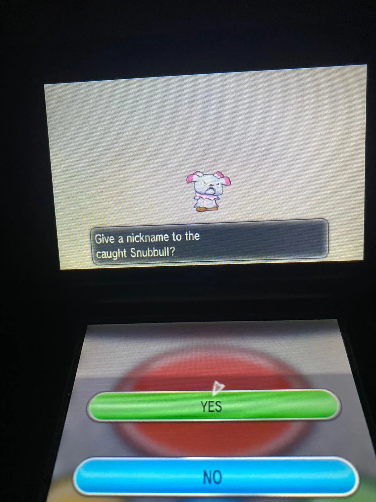 Finally got a shiny in Pokemon Friend Safari | Fandom