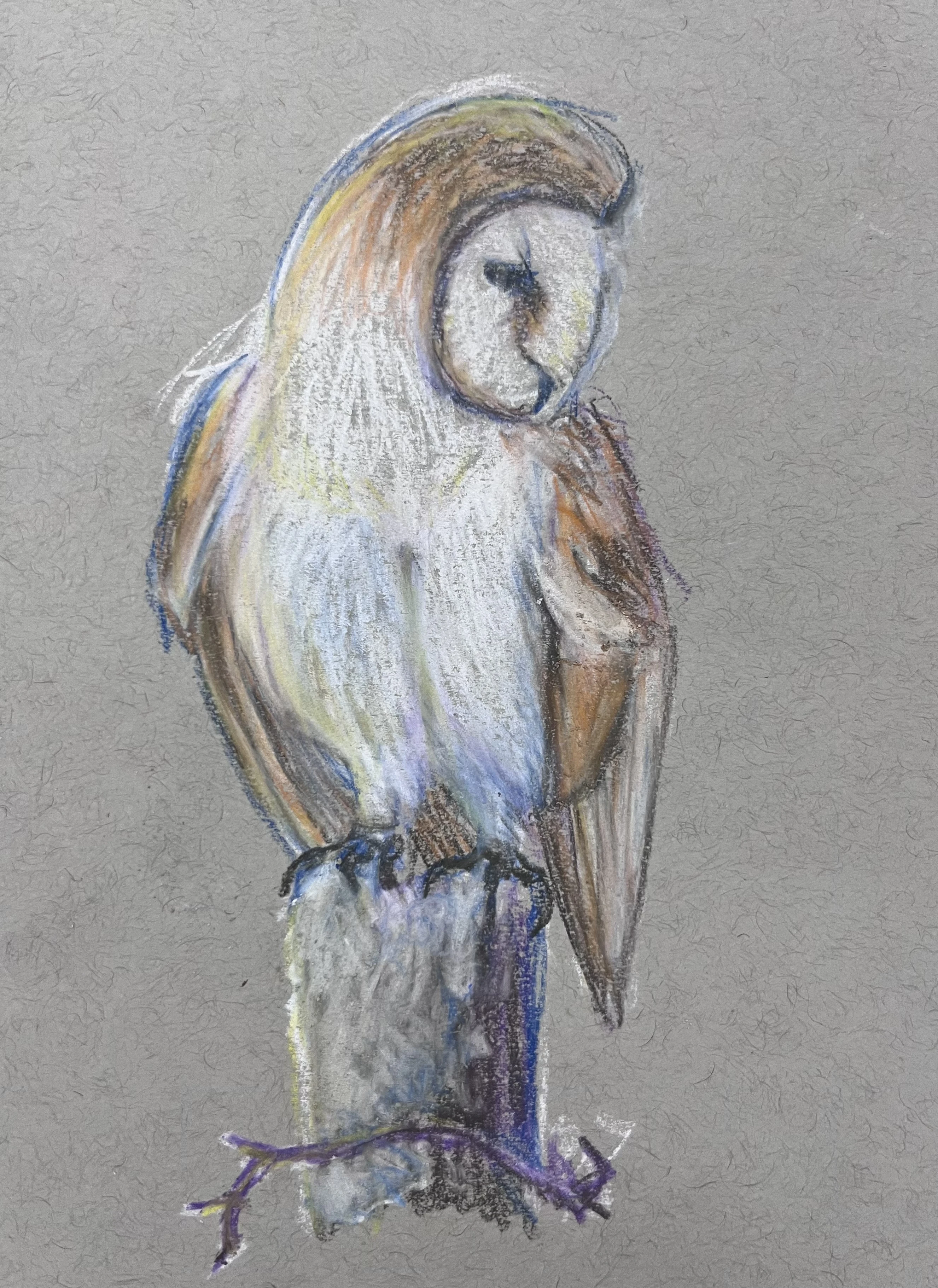 owlb | Fandom