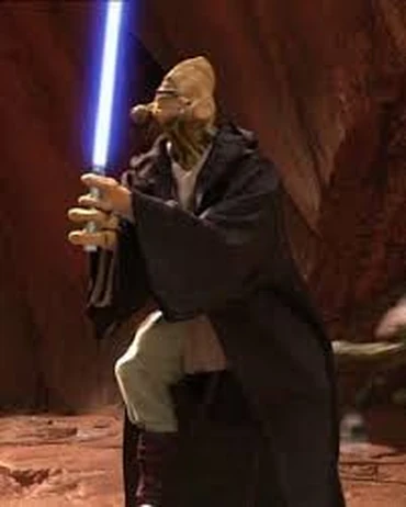 Discuss Everything About Wookieepedia | Fandom