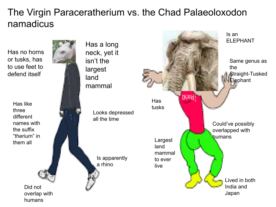 Virgin vs. Chad meme about two chonky mammals (no hate towards ...