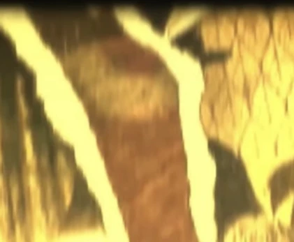 James ️ ️ ️ ️ | Fandom